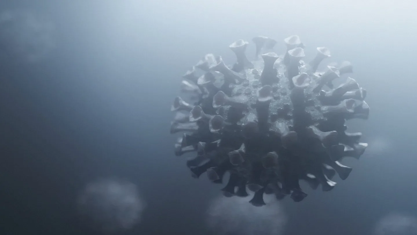 The next phage - Practical Patient Care